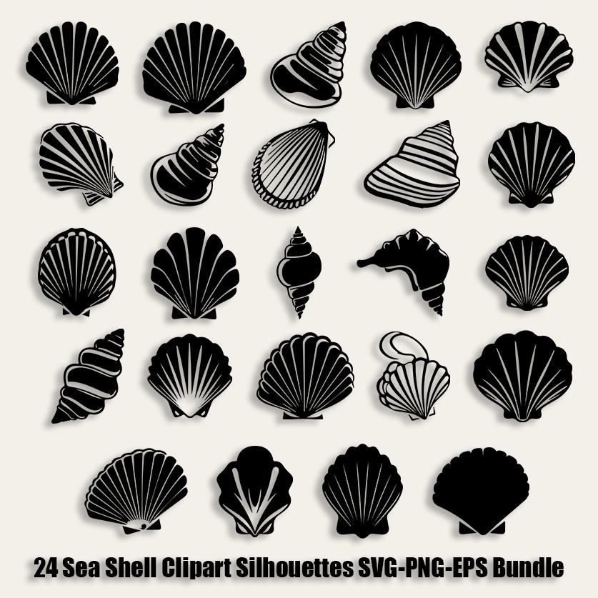 Seashell SVG Bundle, Seashell PNG Bundle, Seashell Clipart, Seashell ...