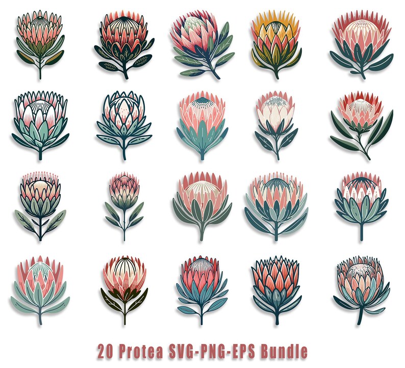 Protea Flowers Svg, Protea Clipart, Protea Cut Files for Cricut, Protea ...
