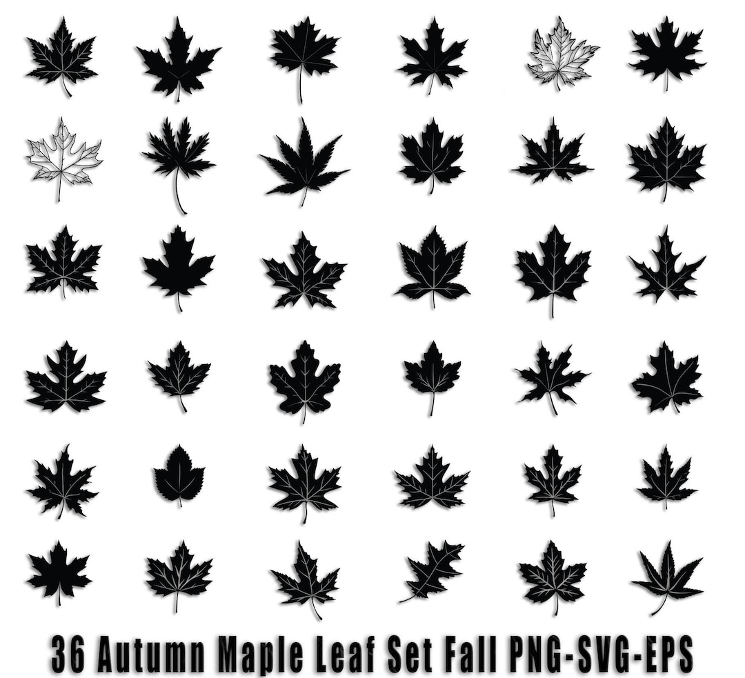 High Quality Maple Leaf SVG Bundle, Maple Leaf Dxf, Maple Leaf Png ...