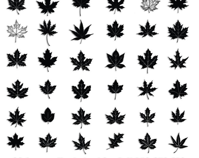 Maple Leaf SVG Bundle, Maple Leaf Outline Clipart, 15 Maple Leaves Cut ...