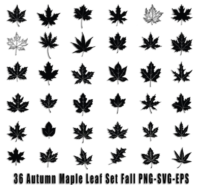 High Quality Maple Leaf SVG Bundle, Maple Leaf Dxf, Maple Leaf Png ...