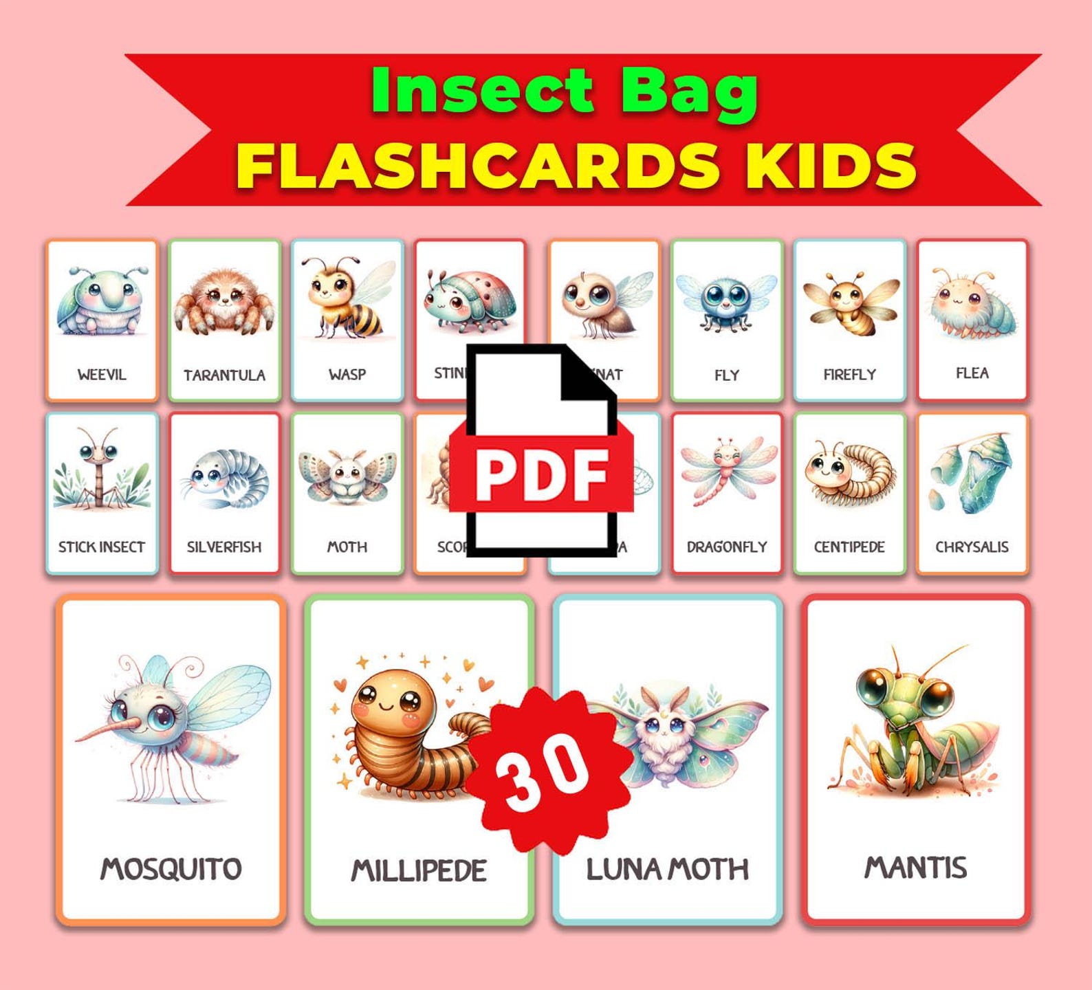 Insect Flash Cards: Montessori Nomenclature Cards (PDF Printable) - Etsy