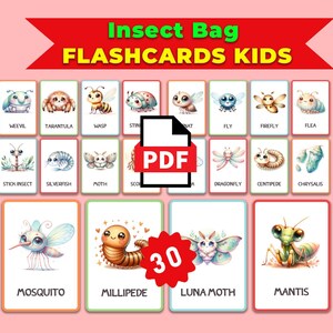 Insect Flash Cards: Montessori Nomenclature Cards (PDF Printable) - Etsy