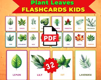 Kids DINOSAURS Cards Montessori Cards Flash Cards Nomenclature ...