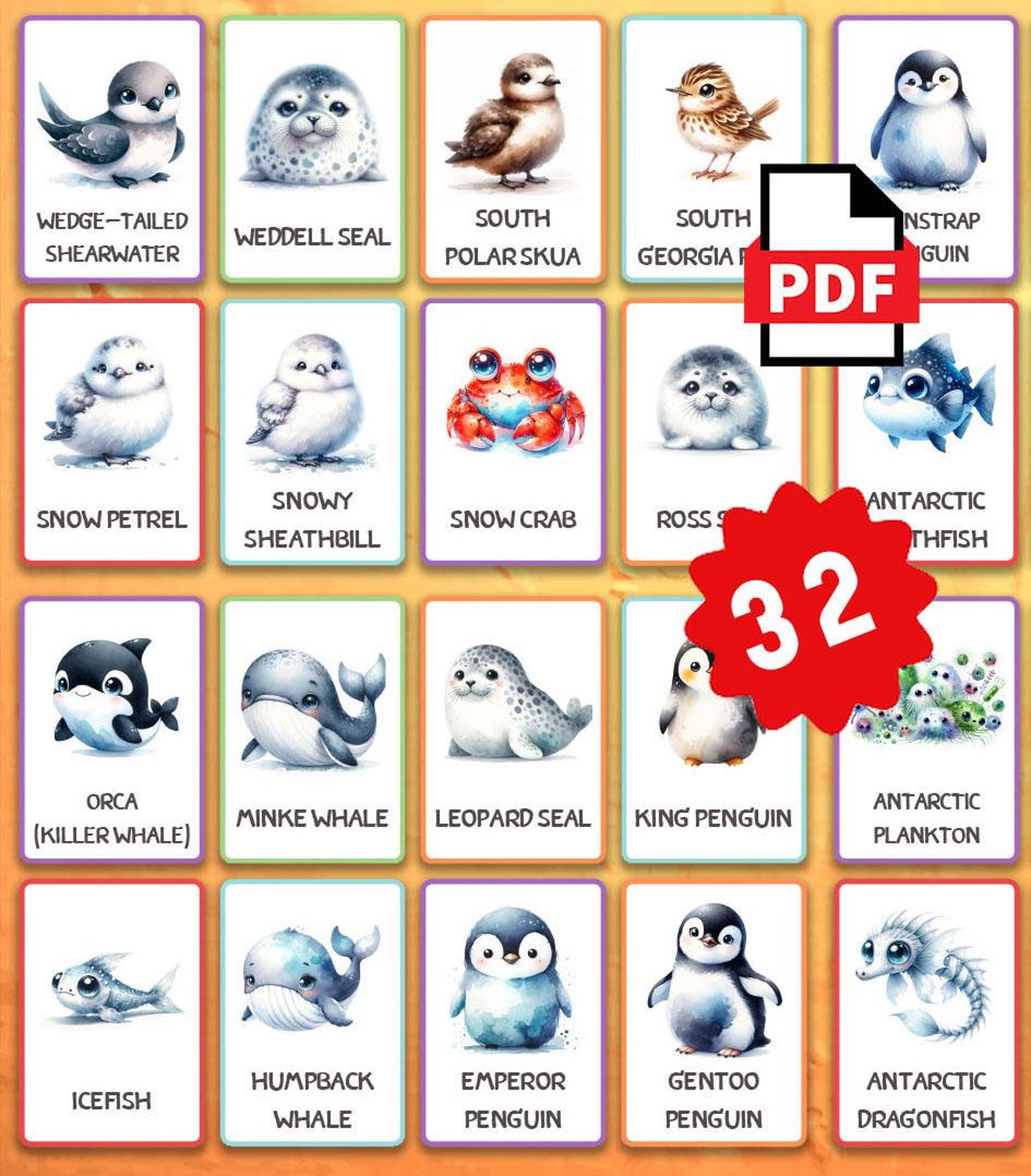 ANTARCTIC ANIMALS Montessori Cards • Flash Cards Nomenclature ...