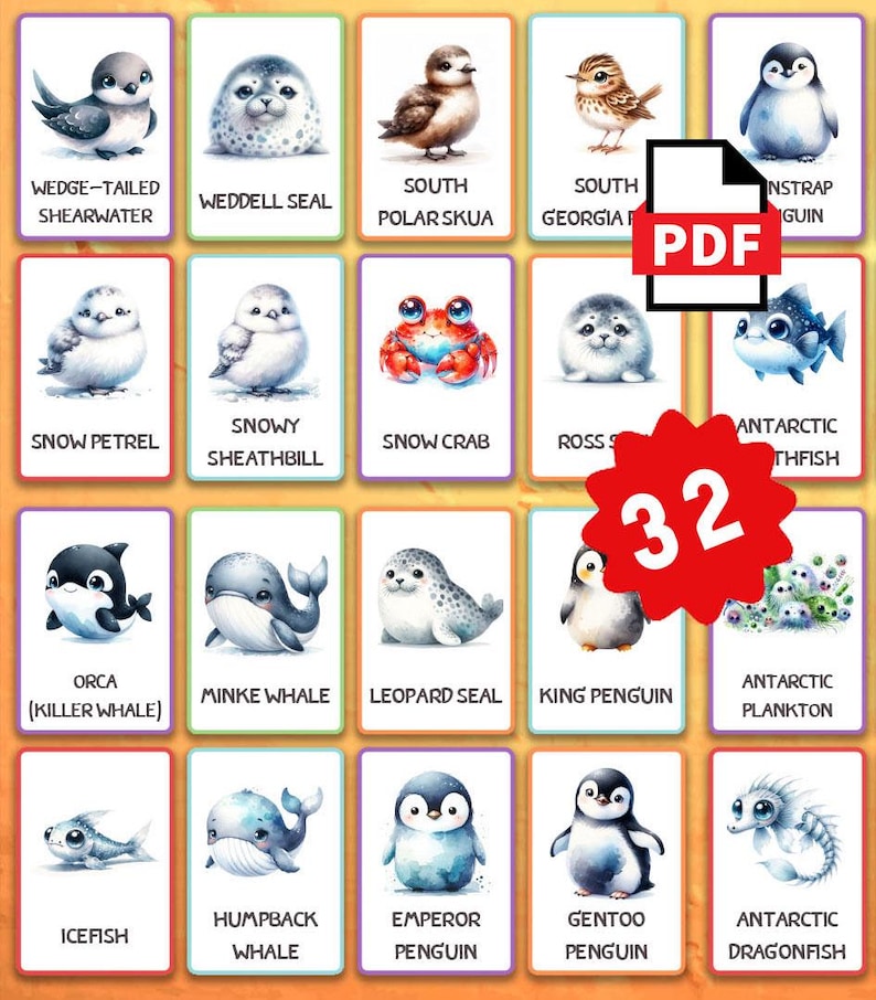 ANTARCTIC ANIMALS Montessori Cards Flash Cards Nomenclature Flashcards ...