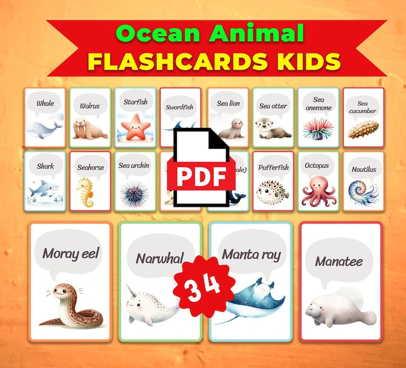 Ocean Animal Flash Cards: Montessori Learning (PDF Printable) - Etsy