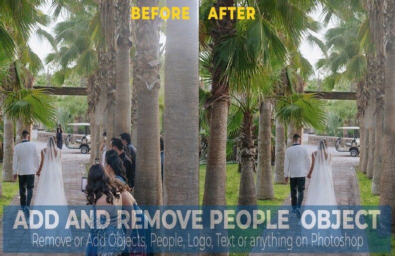 Photo Editing Service: Remove People, Objects, Backgrounds (digital ...