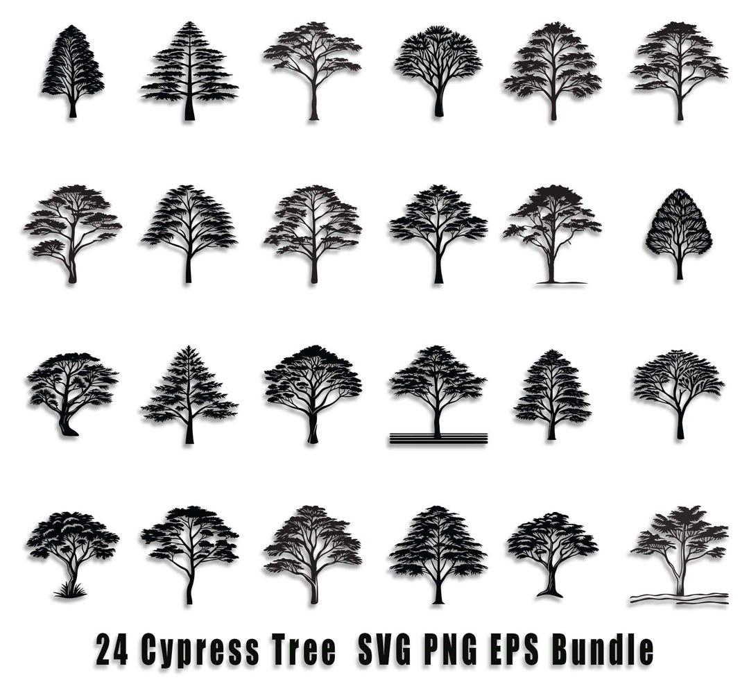 Bald Cypress Tree PNG Bundle | SVG | DXF | Laser Burn | Wood Engrave ...