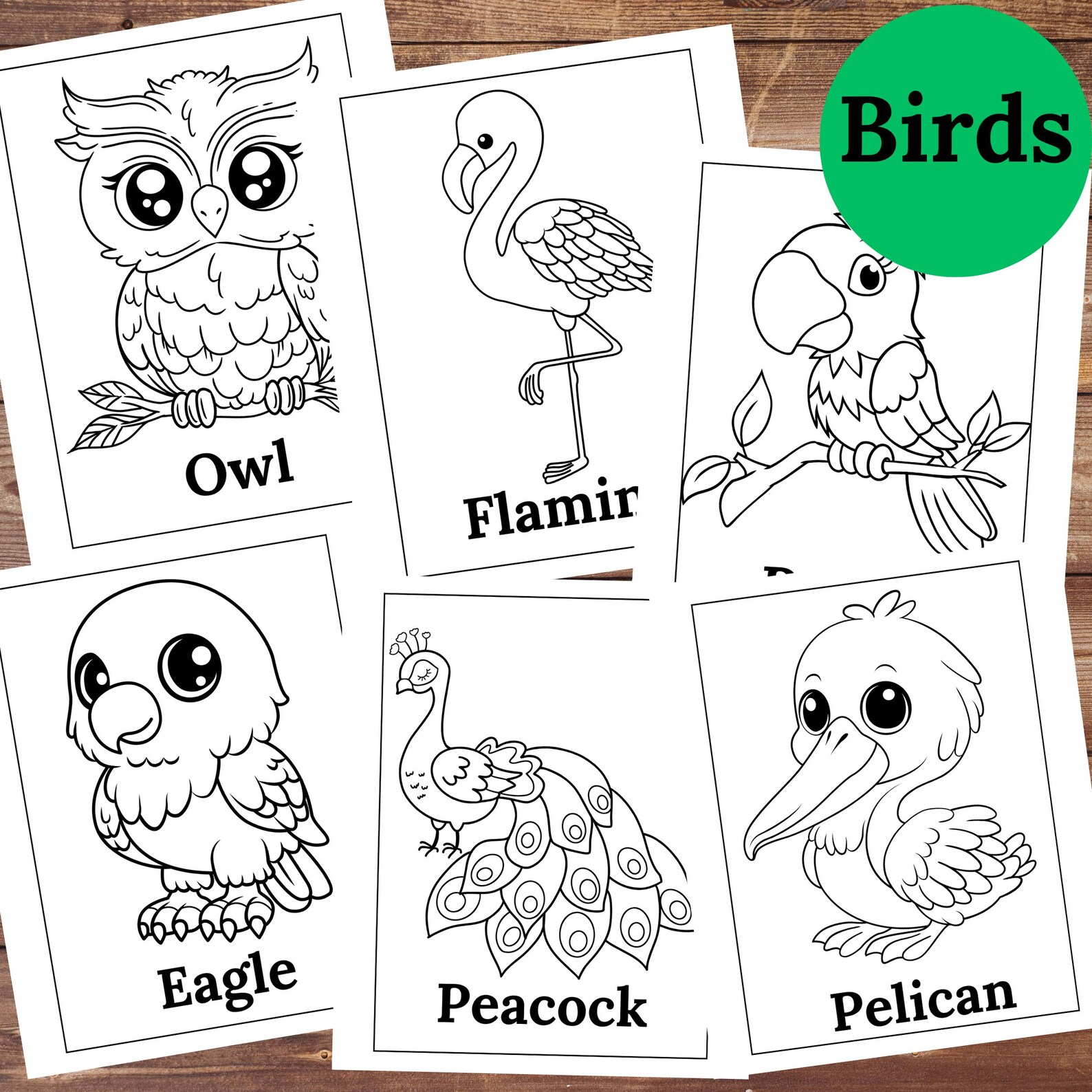 Jungle Safari Animals Coloring Book| Printable Zoo Animals Coloring ...