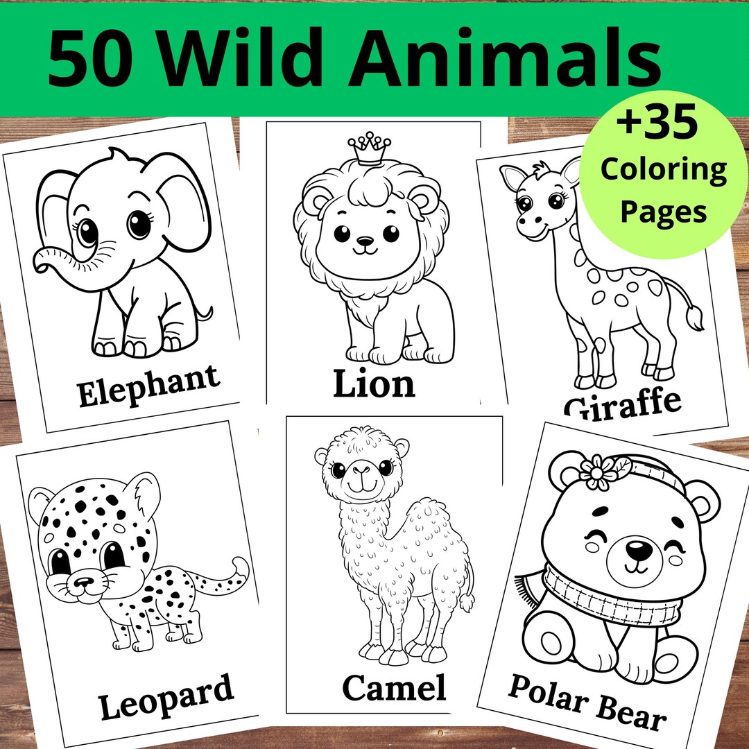 Jungle Safari Animals Coloring Book| Printable Zoo Animals Coloring ...