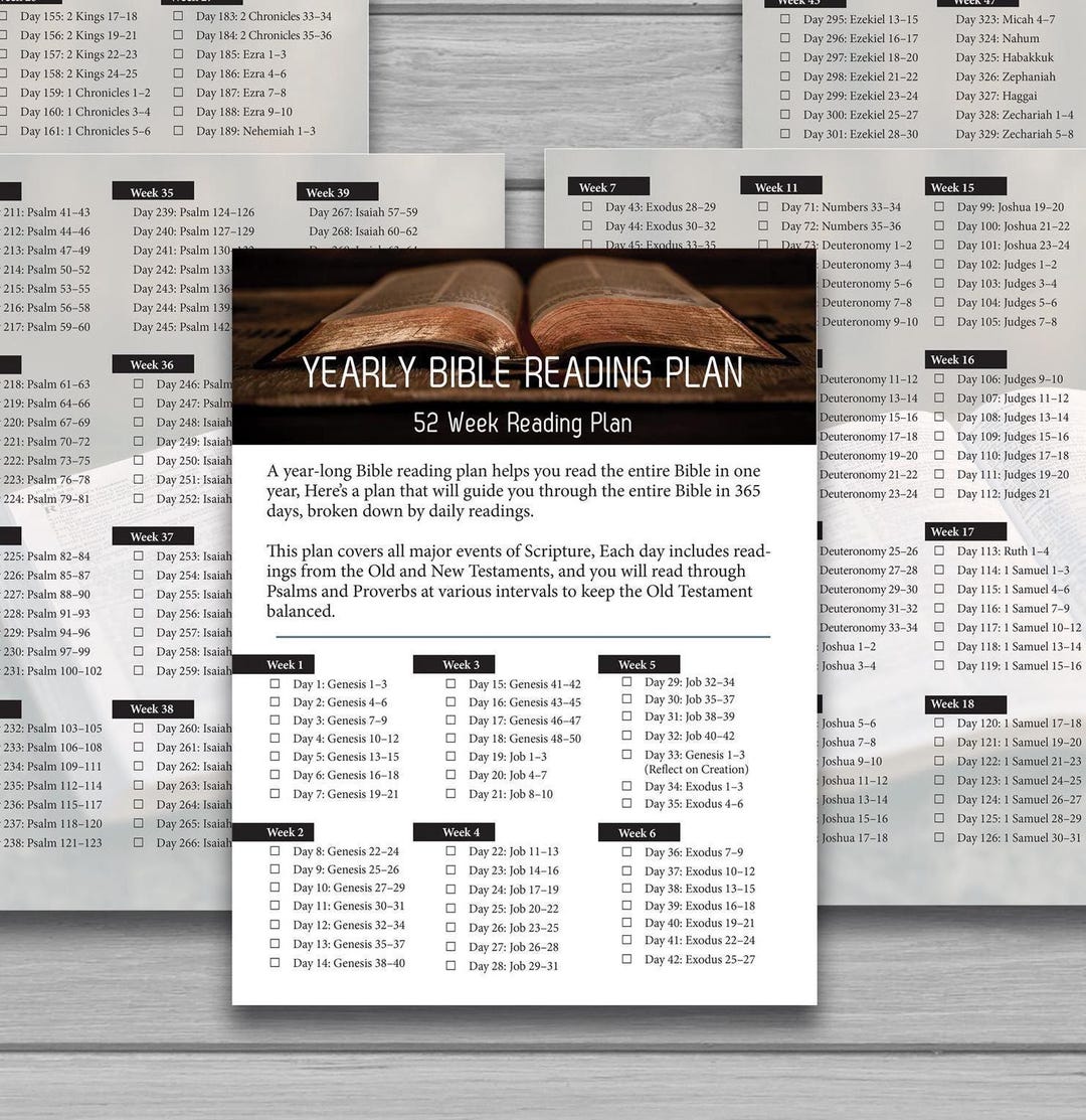 One Year Bible Reading Plan, Yearly Bible Reading Plan Digital, Mens ...