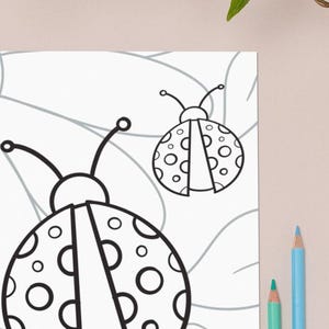 Insect Coloring, Coloring Page Printable, Summer Coloring Pages ...