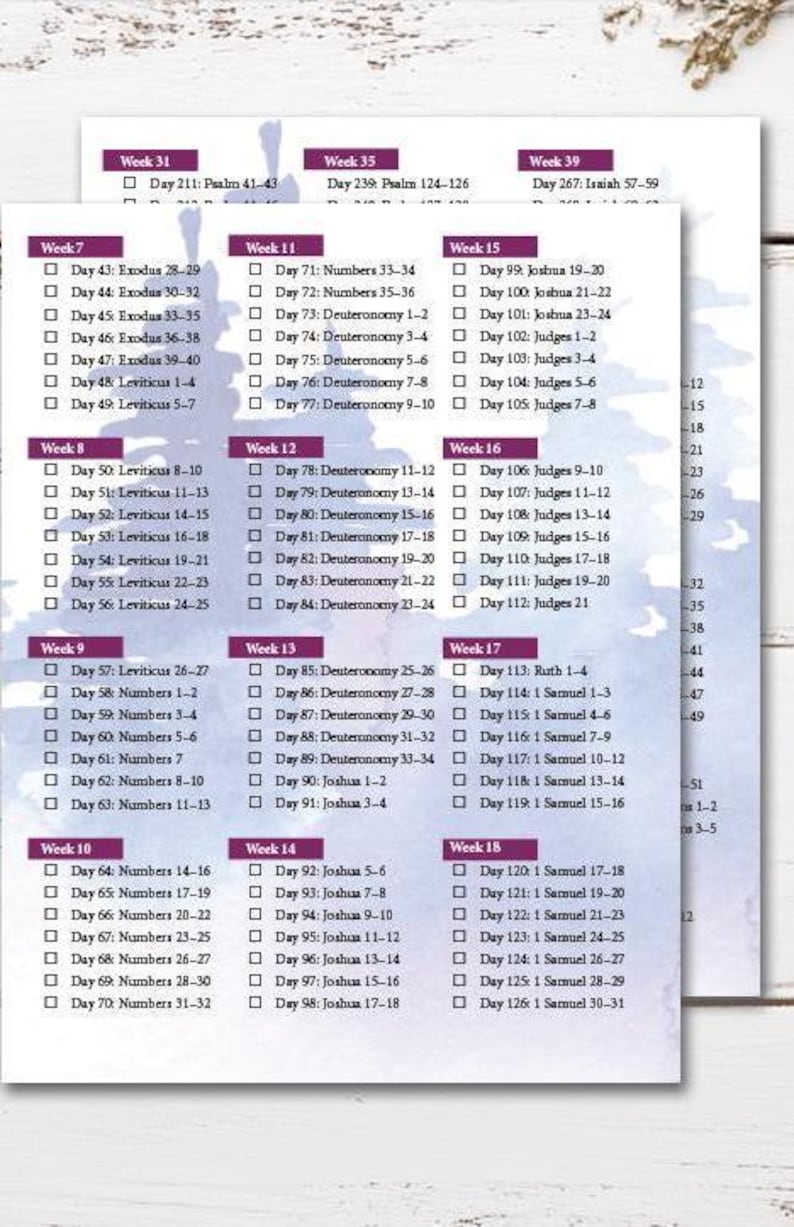 Chronological Bible Reading Plan 2025, Bible Reading Progress ...