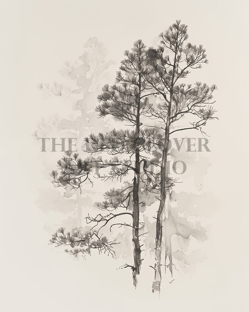 Pine Trees Print | Nature Sketch | Timeless Home Decor | Neutral Line ...