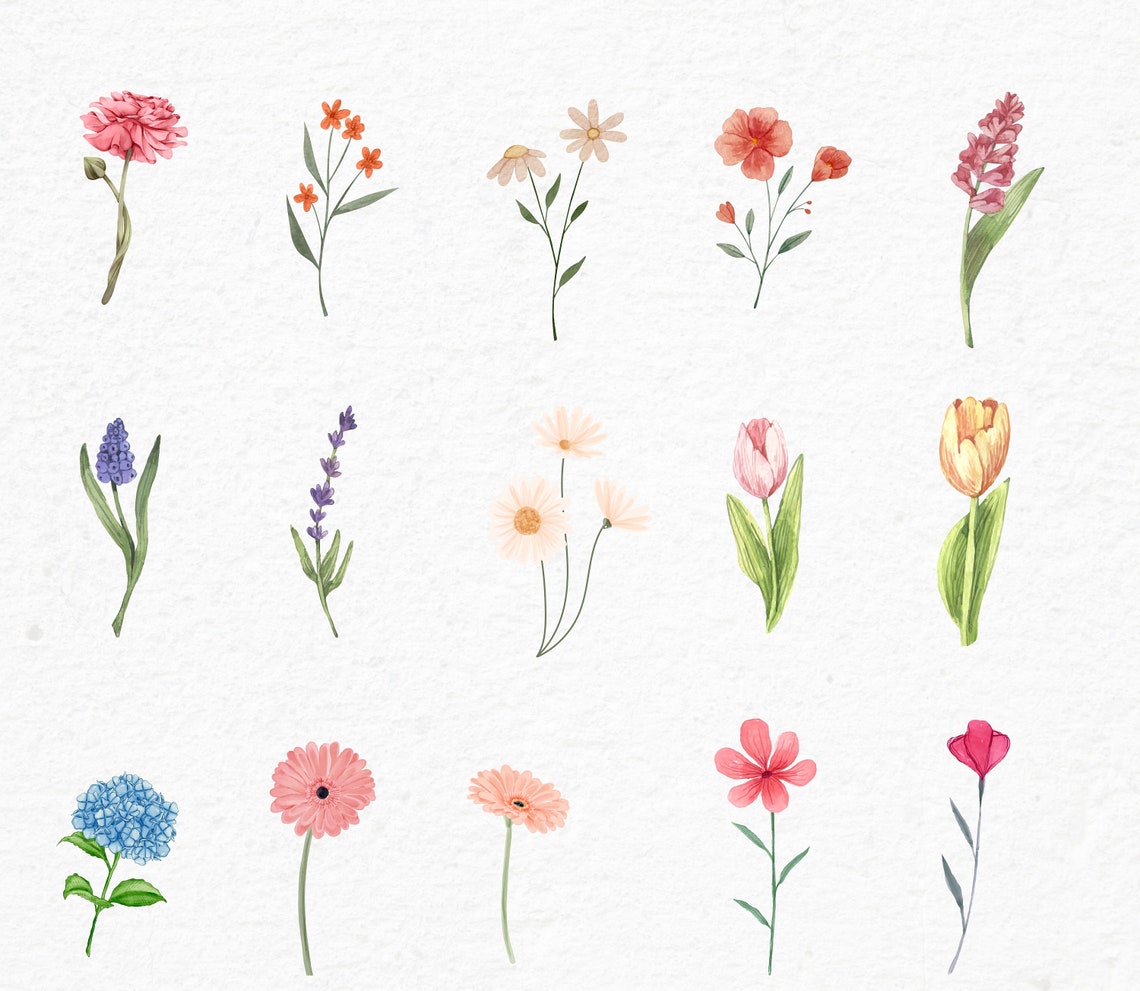 30 Watercolor Flower Clipart Set, Wildflower Png, Birth Month Flowers ...