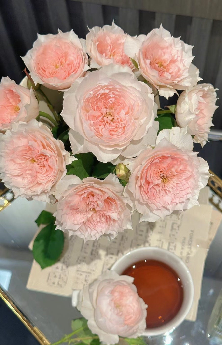 Jiashu | 家书 | Family Letter | Chinese Rose From Tianlang | Disease Resistant | Frequent Bloomer ...