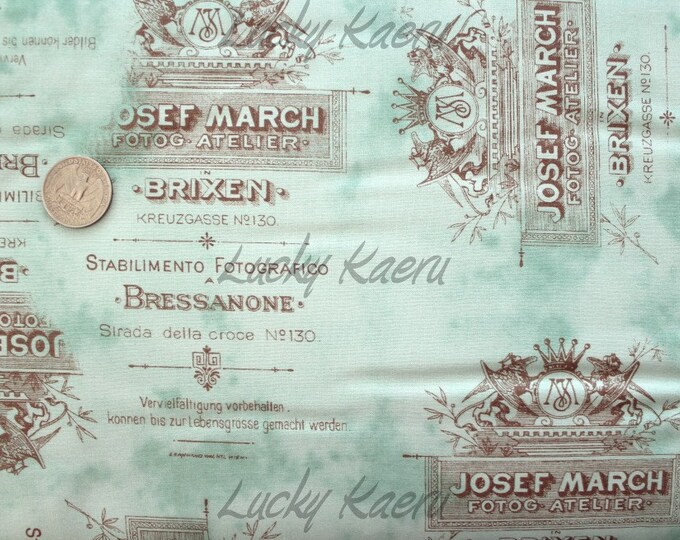 Basicgrey, Curio, Curio Muslin Pond Fabric - by the Yard - Etsy