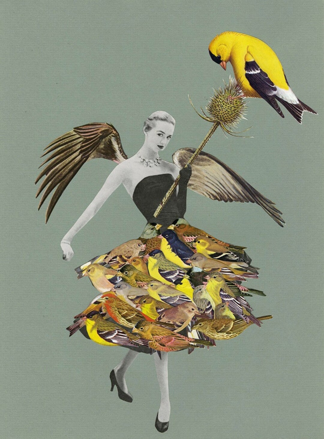 Frau Finch. Limitierte Auflage von Vivienne Strauss. - Etsy Österreich