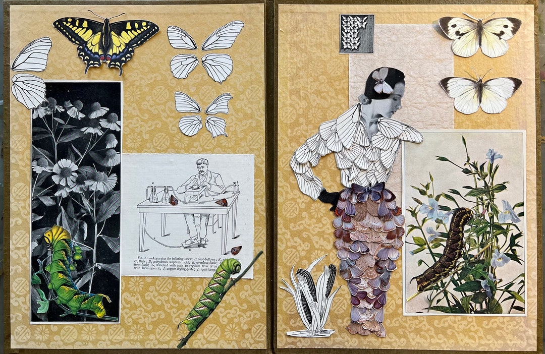 Livre De Papillons. Original Collage by Vivienne Strauss. - Etsy