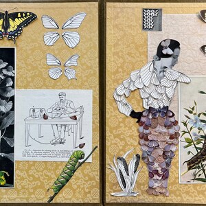Livre De Papillons. Original Collage by Vivienne Strauss. - Etsy
