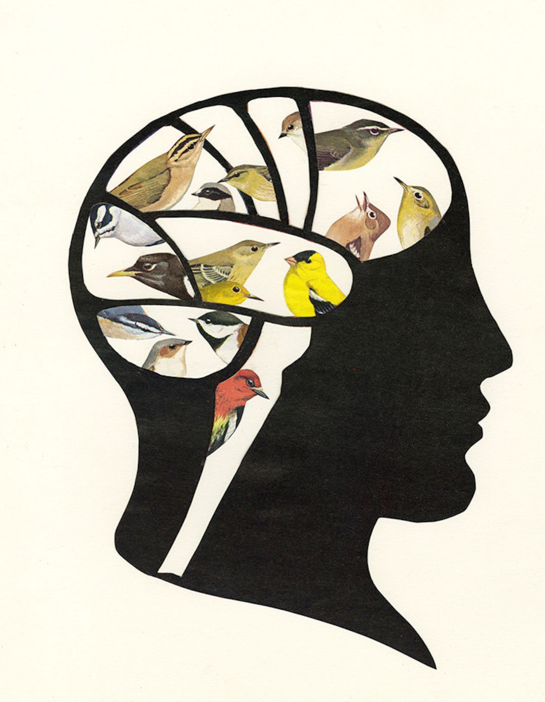 Bird Brain. Limited Edition Print by Vivienne Strauss. - Etsy