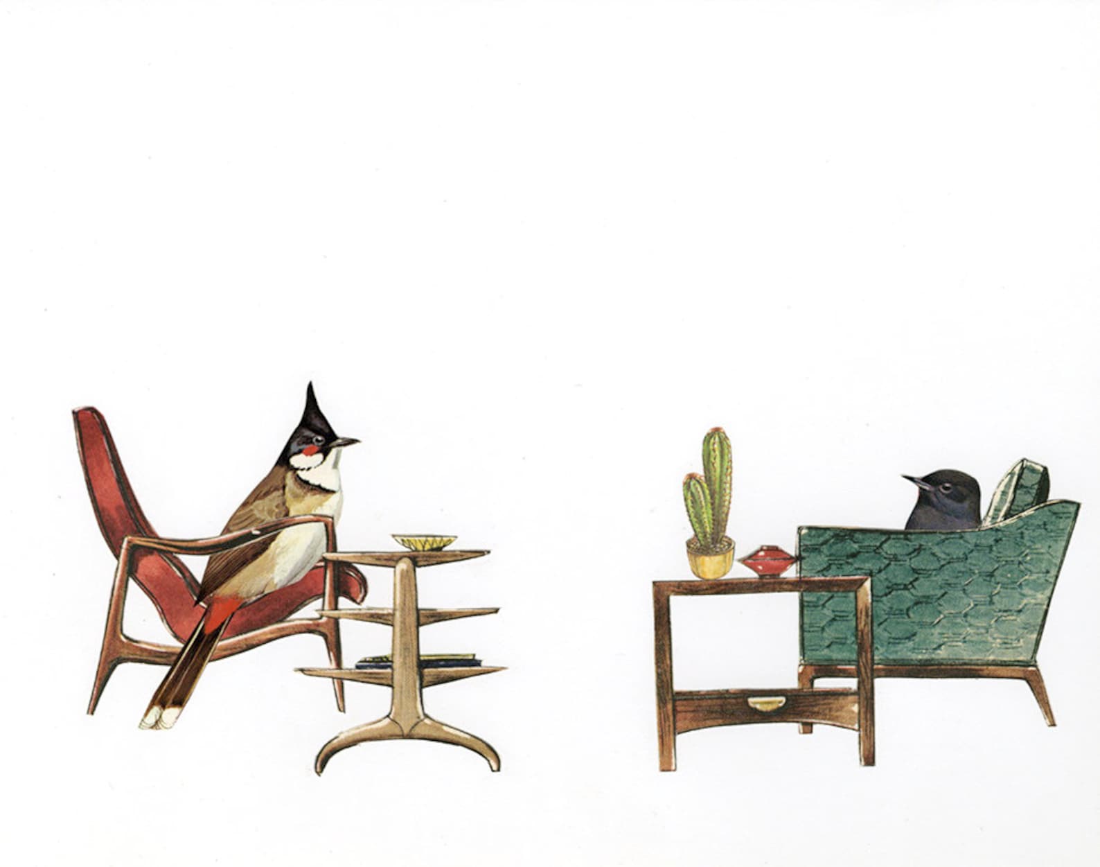 Dr. Bulbul Was Perched at the Edge of His Seat While Phoebe Shared ...