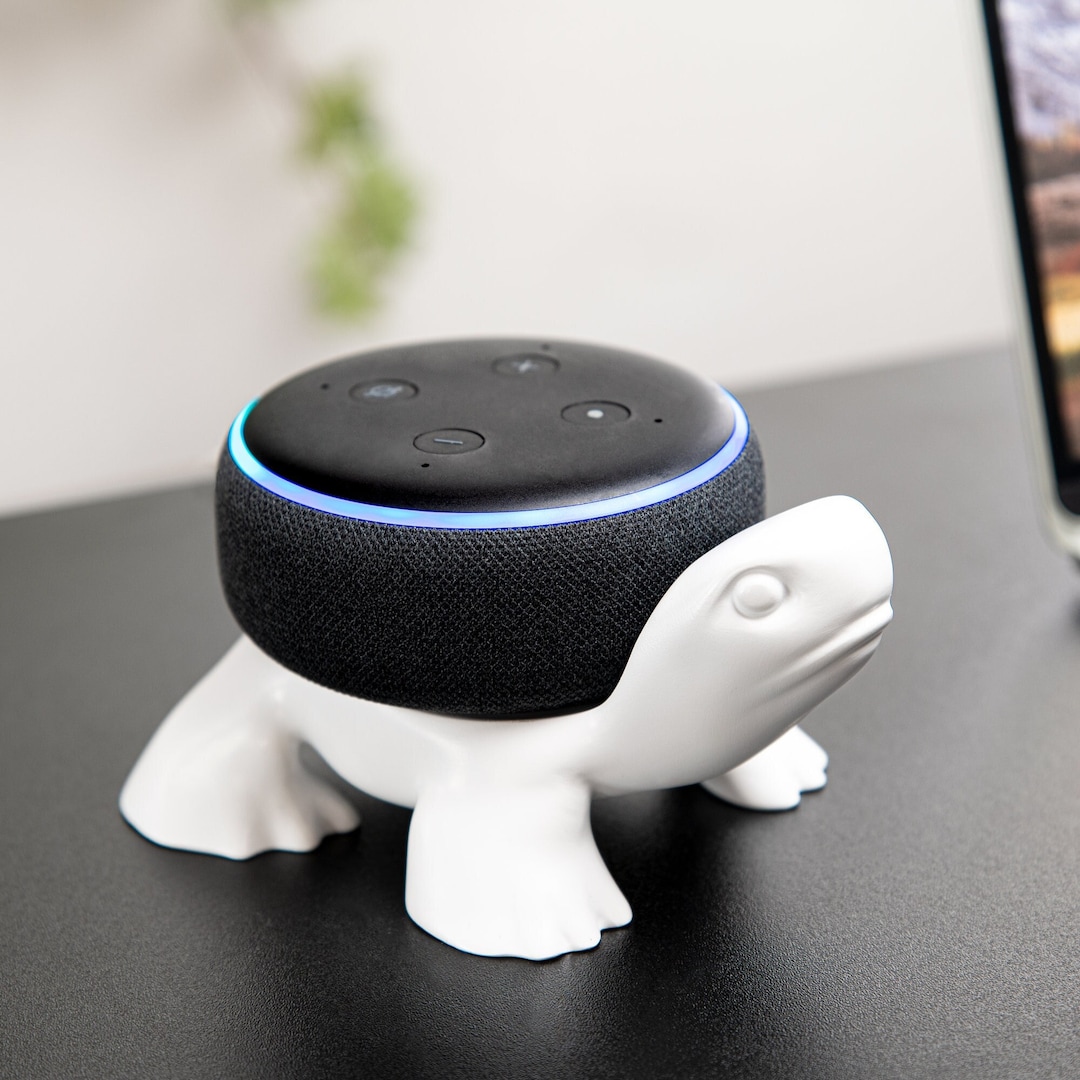 Turtle Echo Dot Holder Stand Unique Alexa Holder, Turtle Alexa Stand ...