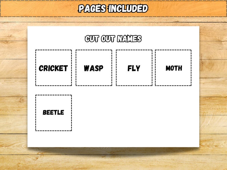 Insect Identification Activity for Kids Match, Identify & Label Common ...