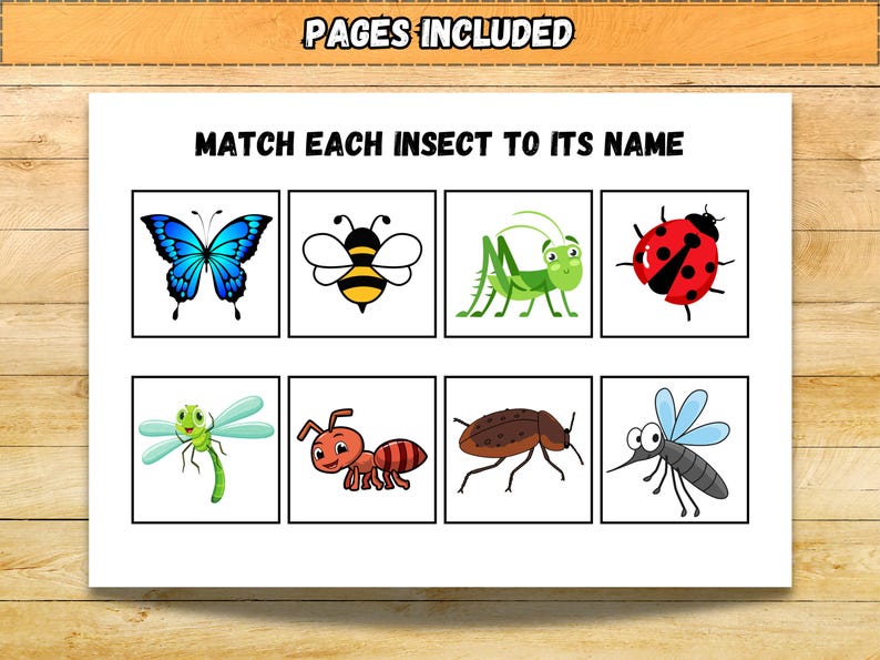 Insect Identification Activity for Kids Match, Identify & Label Common ...