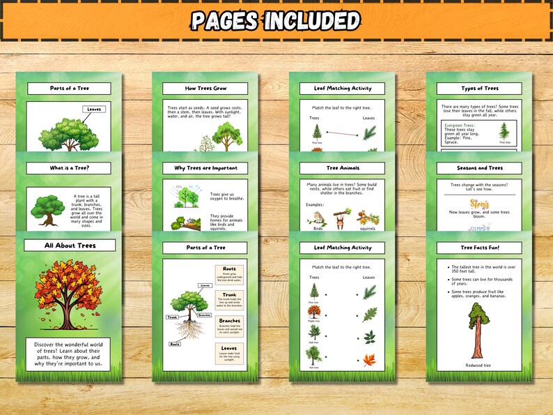 Tree Study Unit for Kids | Nature Activities | Learn About Trees ...