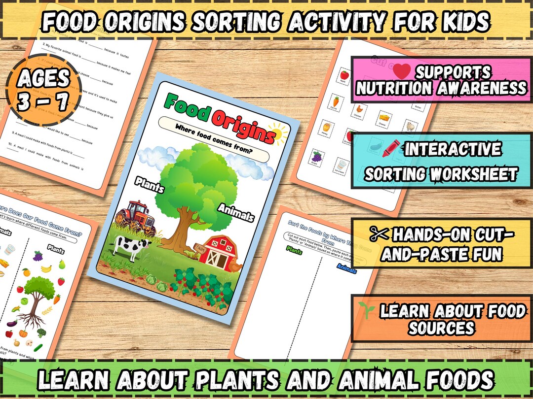 Food Sorting Activity Hands-on Nutrition Fun for Kids, Learn Food ...
