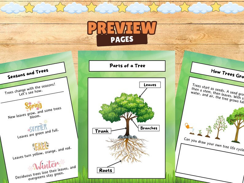 Tree Life Cycle and Nature Learning Workbook – Fun Science Activities ...