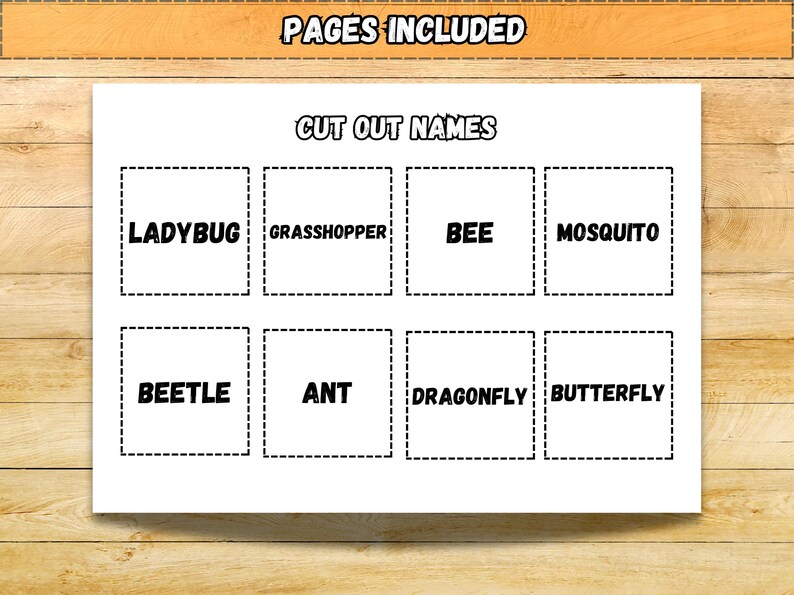 Insect Identification Activity for Kids Match, Identify & Label Common ...