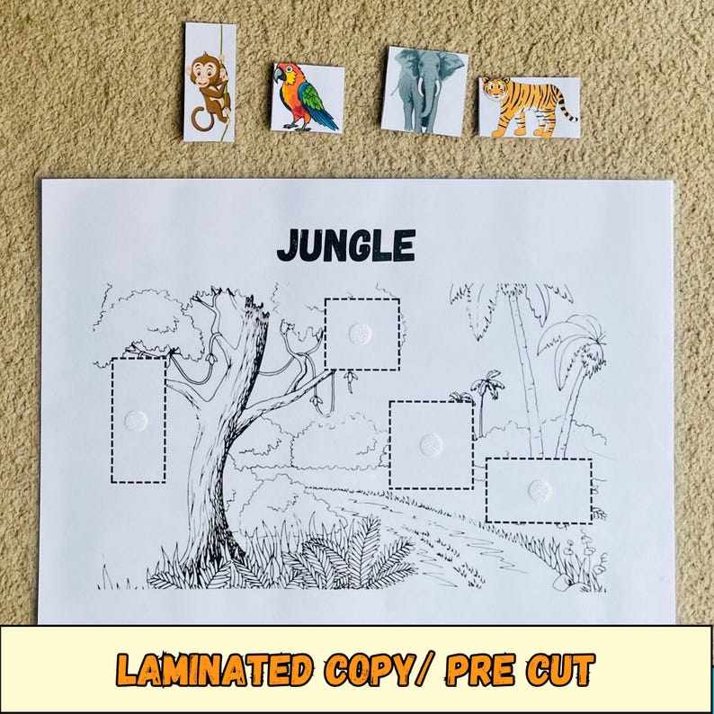 Laminated Animal Habitat Sorting Activity With Velcro Reusable Matching ...