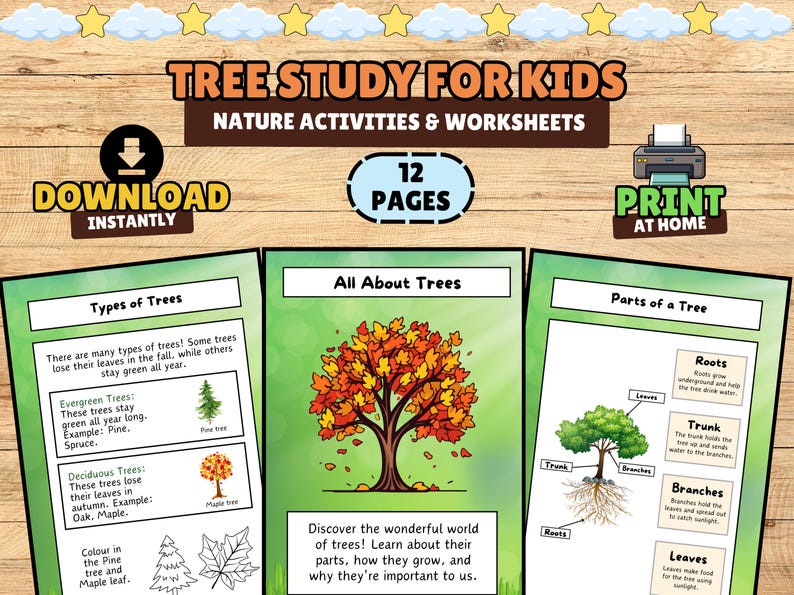 Tree Life Cycle and Nature Learning Workbook – Fun Science Activities ...