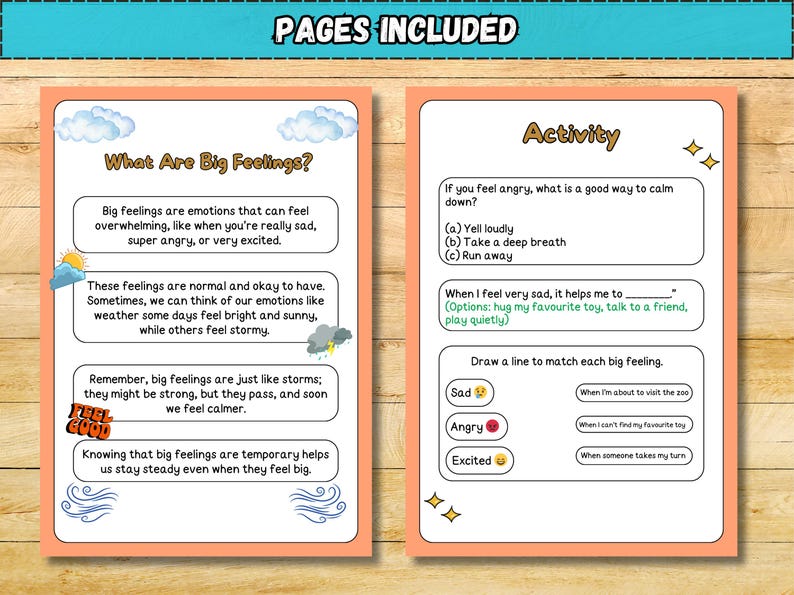 Emotional Regulation Activity Book for Kids Self Regulation Worksheets ...