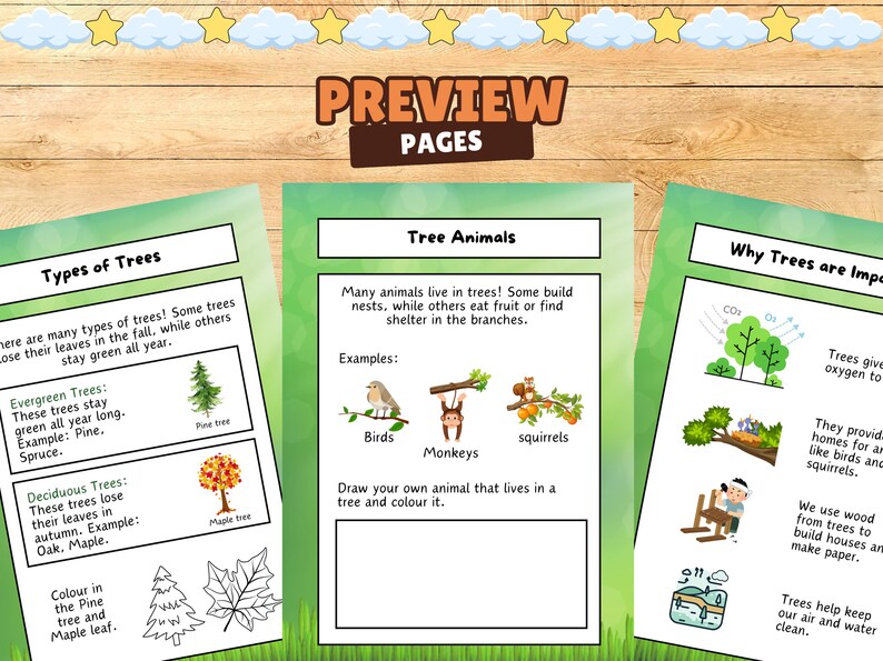 Tree Life Cycle and Nature Learning Workbook – Fun Science Activities ...