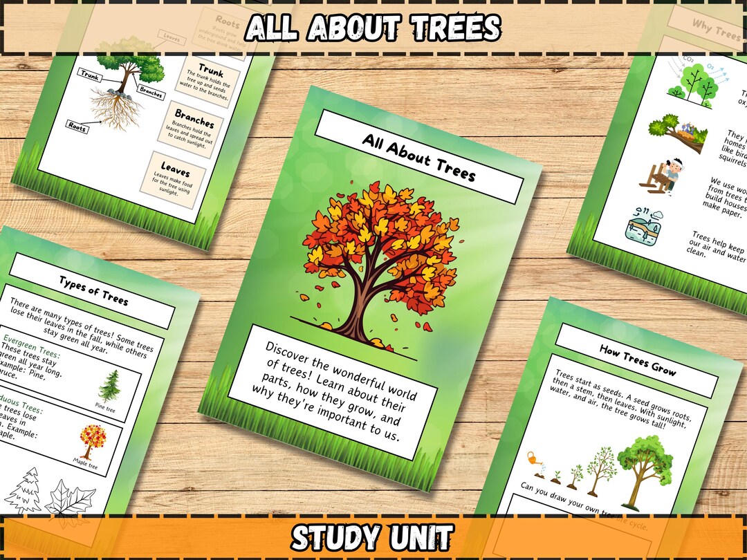 Explore the Wonders of Trees Fun Tree Study Unit for Kids With ...