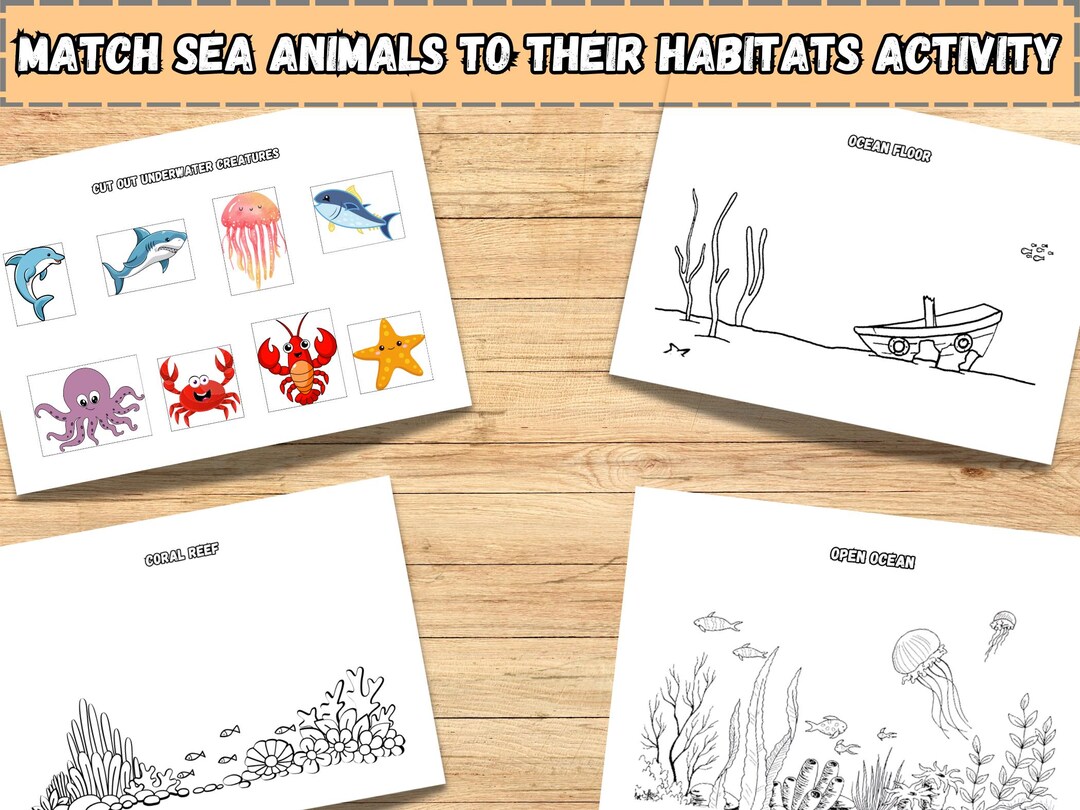 Ocean Animal Matching Activity for Kids Match Sea Creatures to Their ...