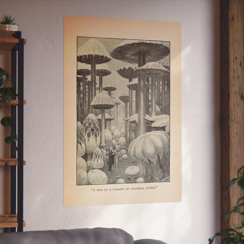 Forest of Colossal Fungi Print - Vintage Sci-fi Mushroom Art From 1895 ...