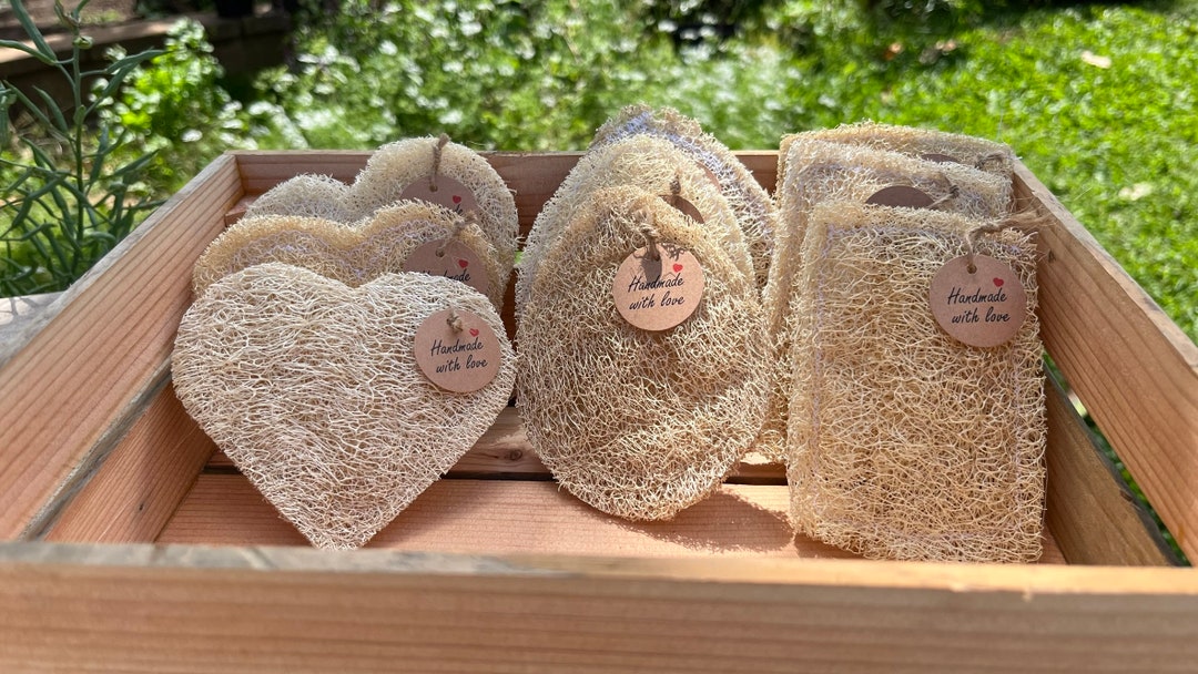100% Natural Luffa Kitchen Scrubbies - Etsy