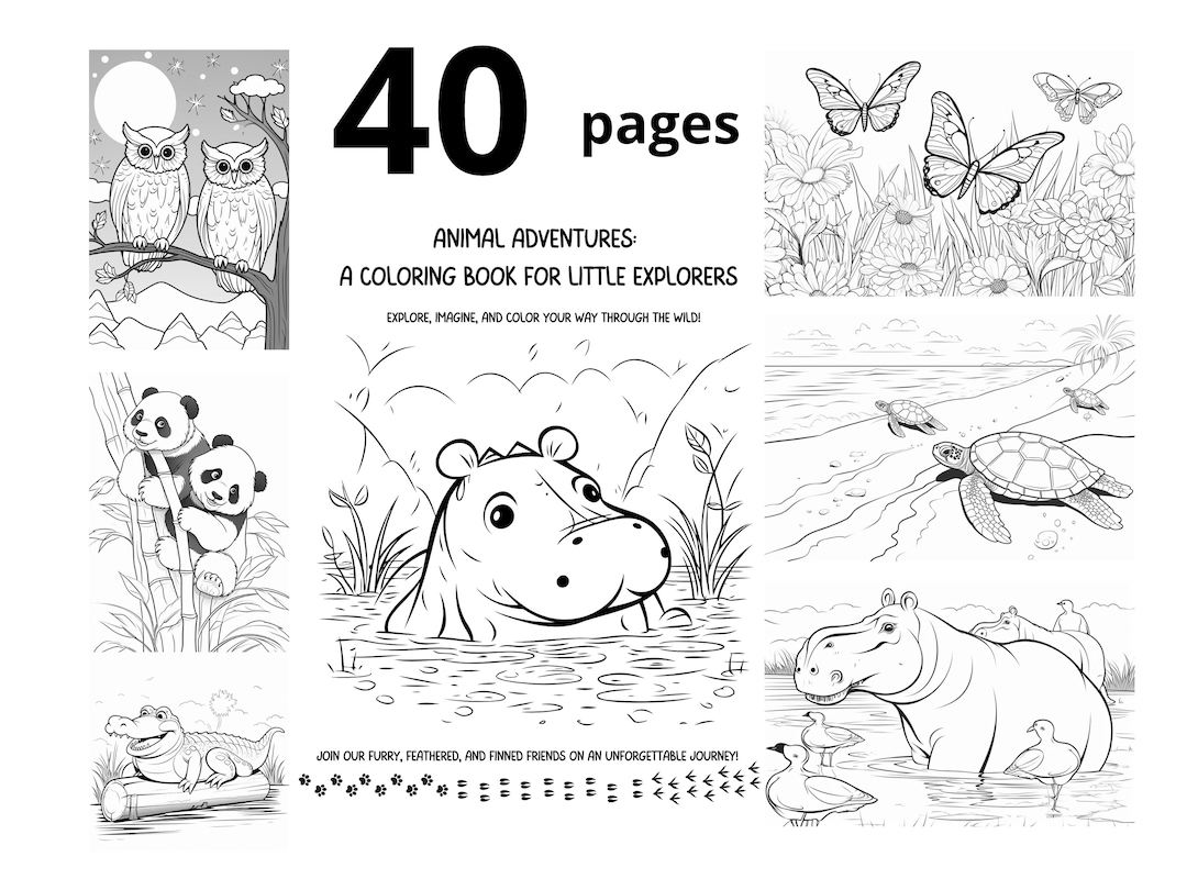 ANIMAL ADVENTURES Coloring Pages Set of 40 Coloring Pages Coloring ...