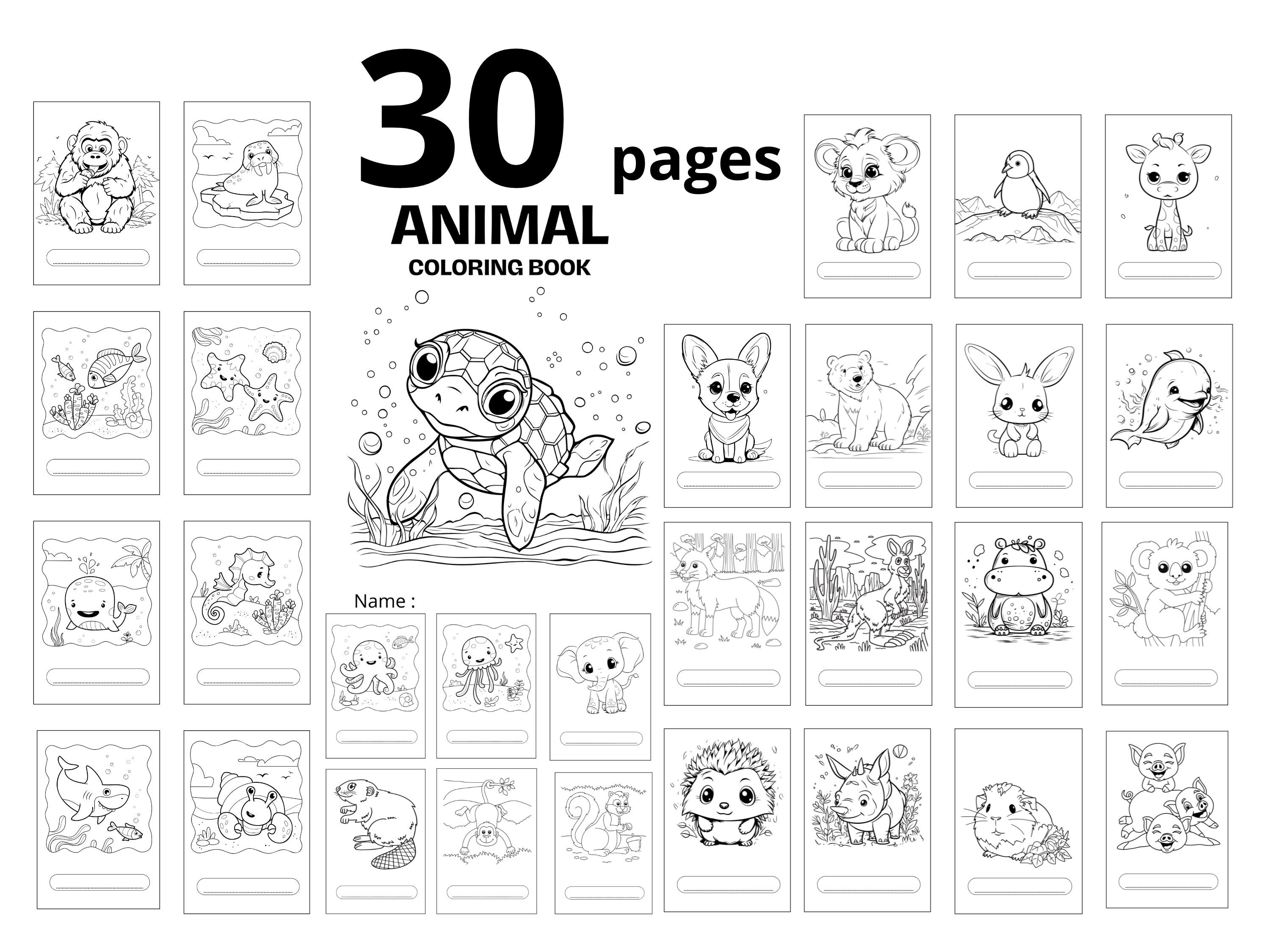 Animal Coloring Pages for Kids, Set of 30 (PDF Download) - Etsy