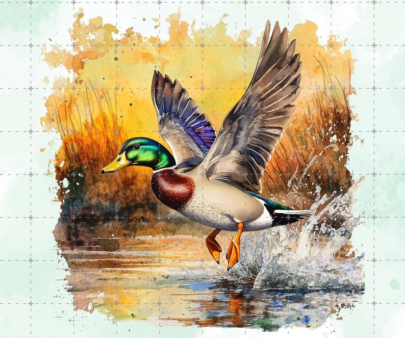 15 PNG Mallard Duck Art Set – Flying & Lake Scenes - Etsy