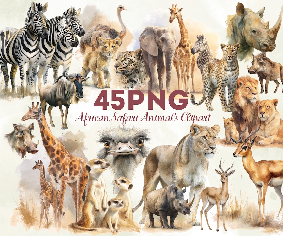African Safari Animals Clipart Bundle 45 PNG | Watercolor Jungle ...