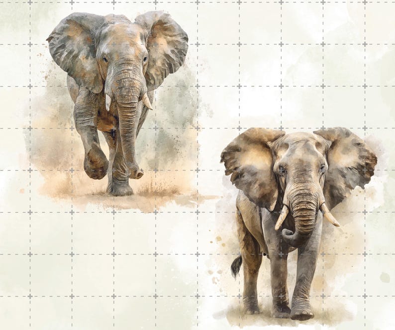 African Safari Animals Clipart Bundle 45 PNG | Watercolor Jungle ...