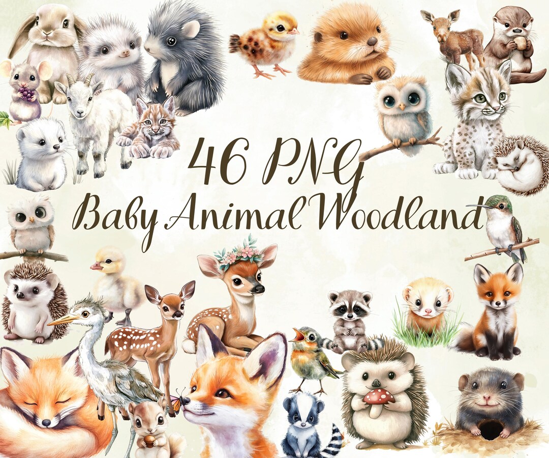 46 Baby Animal Woodland Clipart – Digital Download, High-quality PNG ...