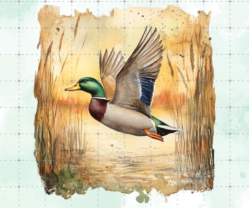 15 PNG Mallard Duck Art Set – Flying & Lake Scenes - Etsy
