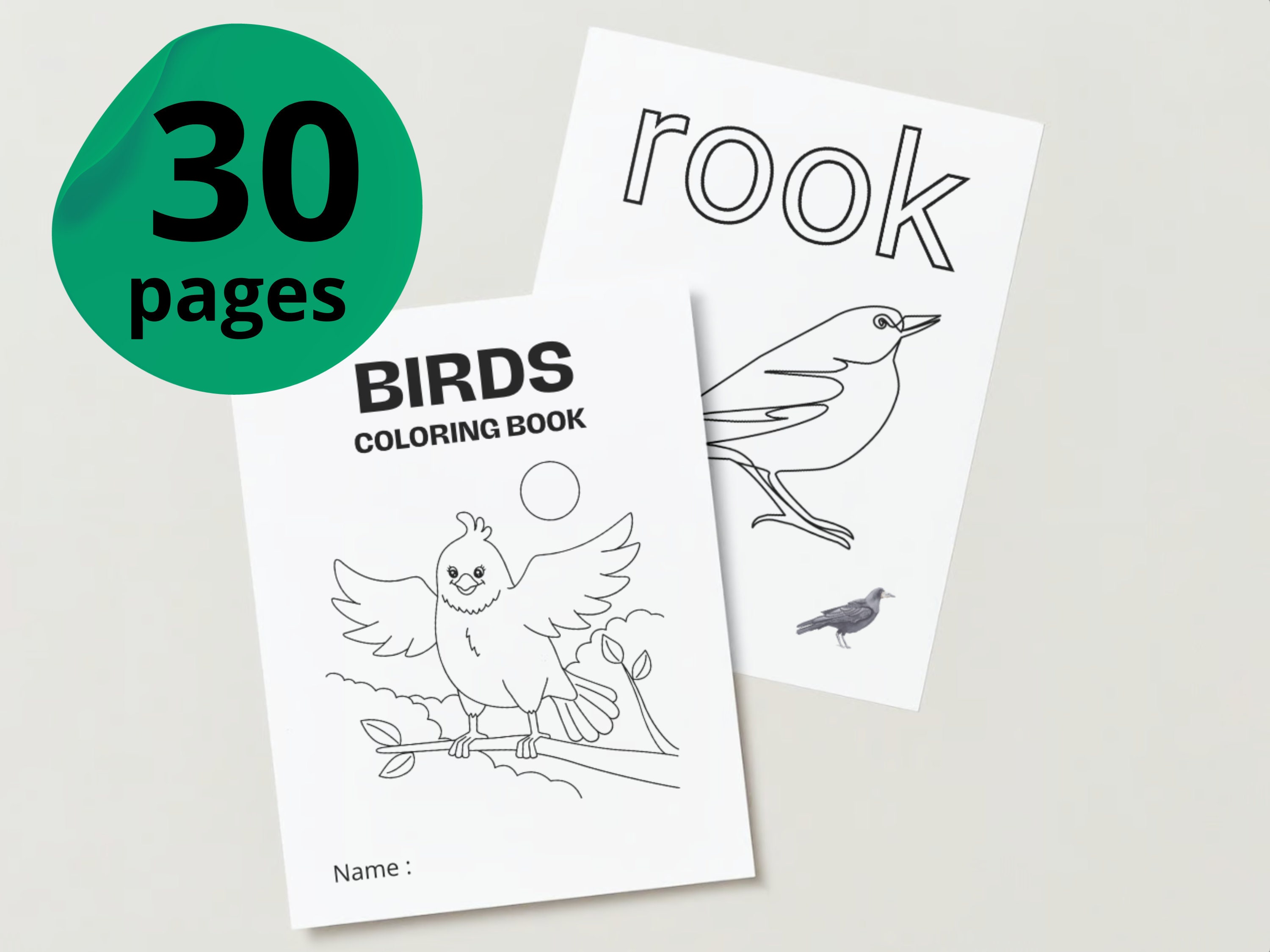 Birds Coloring Pages Set of 30 Coloring Pages Coloring Pages for ...